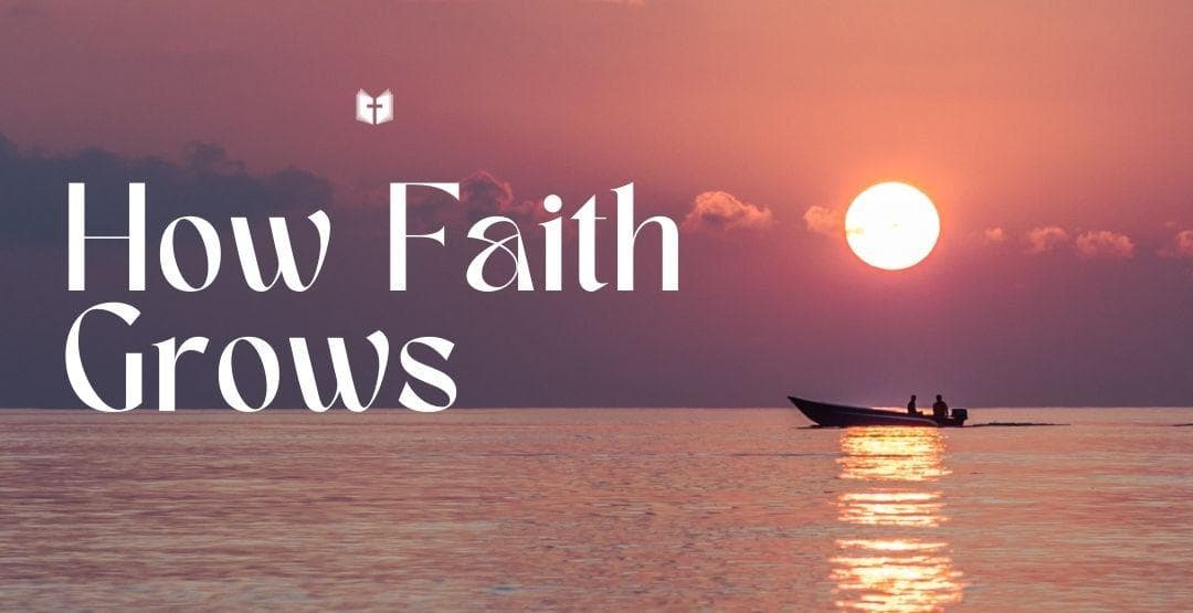 How Faith Grows - Devotional Reading Plan - Life Bible