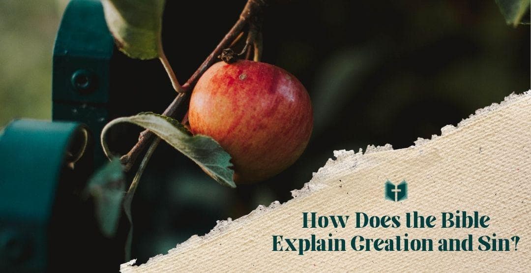 How Does the Bible Explain Creation and Sin? - Devotional Reading Plan ...