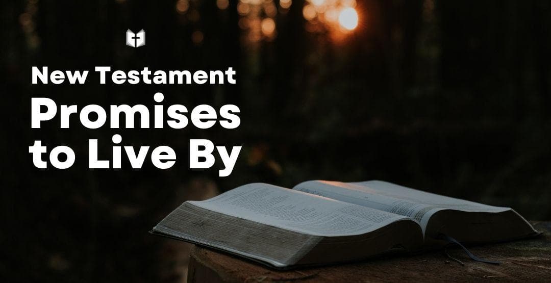New Testament Promises to Live By- Devotional Reading Plan - Life Bible