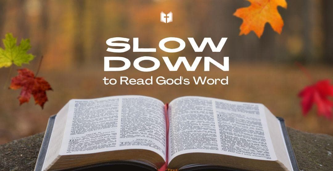 Slow Down to Read God's Word - Bible Reading Plan - Life Bible
